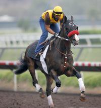 Speed draws inside for Pacific Classic
