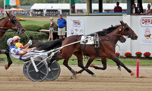 Delaware County Fair: Rose Run Farm-bred fillies in full bloom in Ohio ...