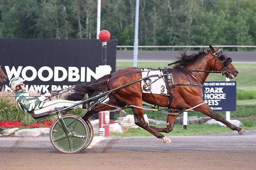 Harness: Takter stocked with powerful crop of 3-year-old male pacers