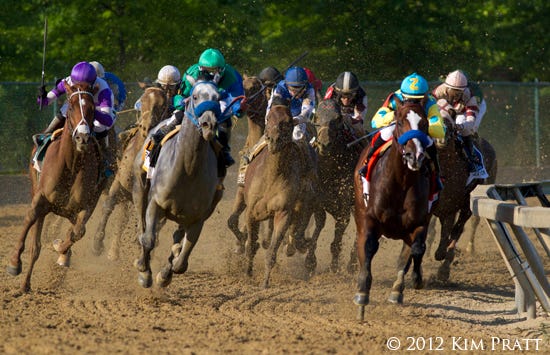 I'll Have Another - a photo album | Daily Racing Form