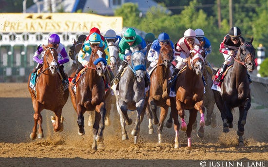 I'll Have Another - a photo album | Daily Racing Form