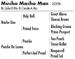 Mucho Macho Man | Daily Racing Form